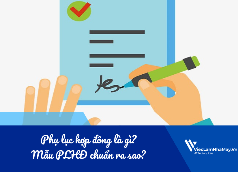 Phụ lục hợp đồng là gì? Mẫu phụ lục hợp đồng chuẩn nhất ra sao?
