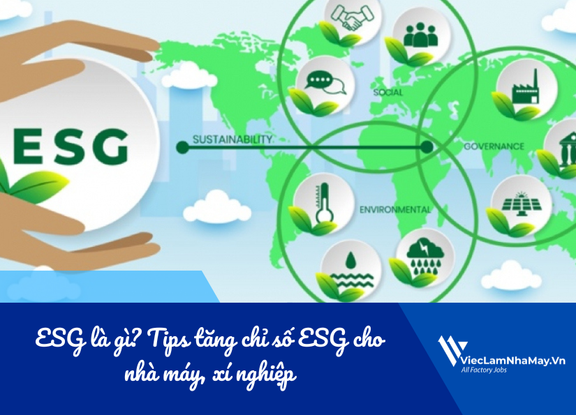 ESG là gì? Tips tăng chỉ số ESG cho nhà máy, xí nghiệp
